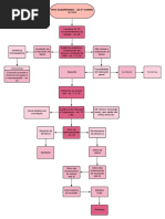 Fluxograma - Rito Especial Do Juri | PDF | Sentença (jurídico) | Justiça