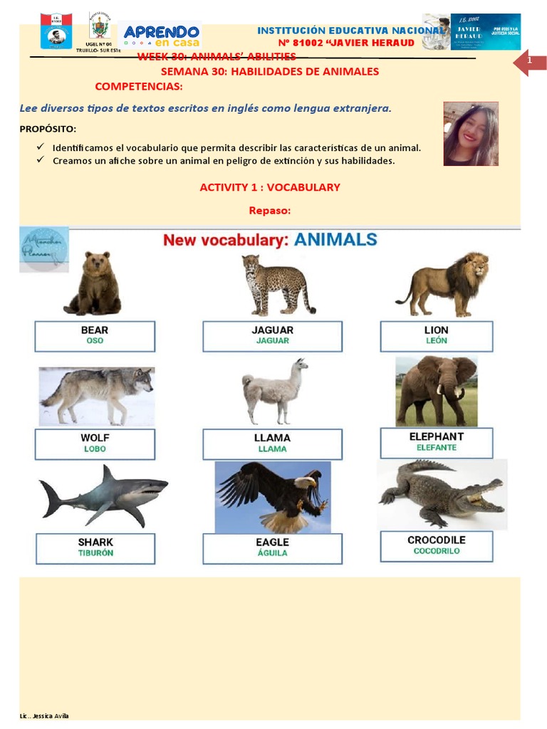 Habilidades de Animales en Inglés | PDF