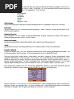 Ecai Credit Rating | PDF | Companies Of Asia | Economy Of Asia