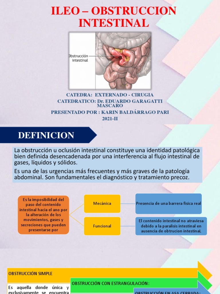 Ileo - Obst Intestinal - Karin | PDF | Intestino grueso | Medicina CLINICA