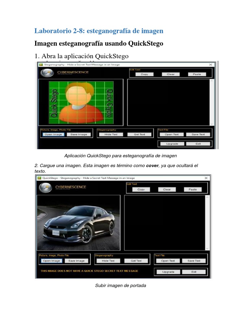 Esteganografía de imágenes con QuickStego | PDF | Comunicación segura ...