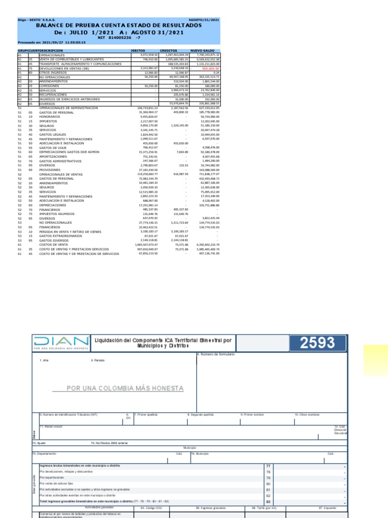 Excel Formulario 2593 Electiva 3 | PDF | Impuestos | Economias