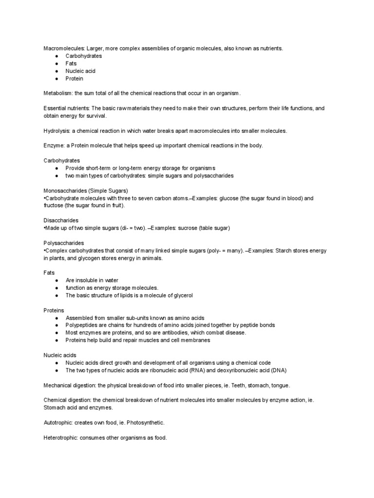 SBI3U Digestive System | PDF | Digestion | Human Digestive System
