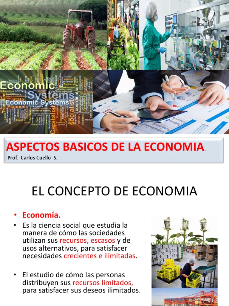 Aspectos Básicos de La Economia | PDF | Ciencias económicas | Bienes