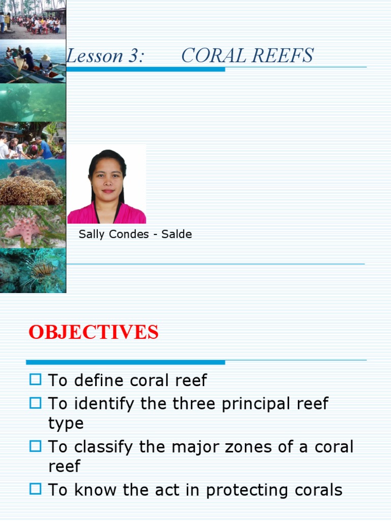 Understanding Coral Reefs and Their Protection | PDF | Coral Reef | Lagoon