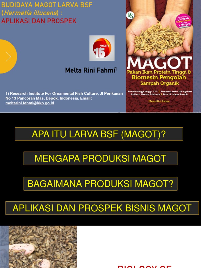 Budidaya Magot-Aplikasi Dan Prospek-Melta Rini-16 Juni 2020 | PDF ...