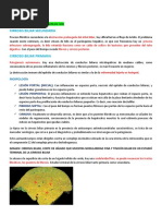 Analisis de Rocabado | PDF | Anatomía | Trastornos musculoesqueléticos