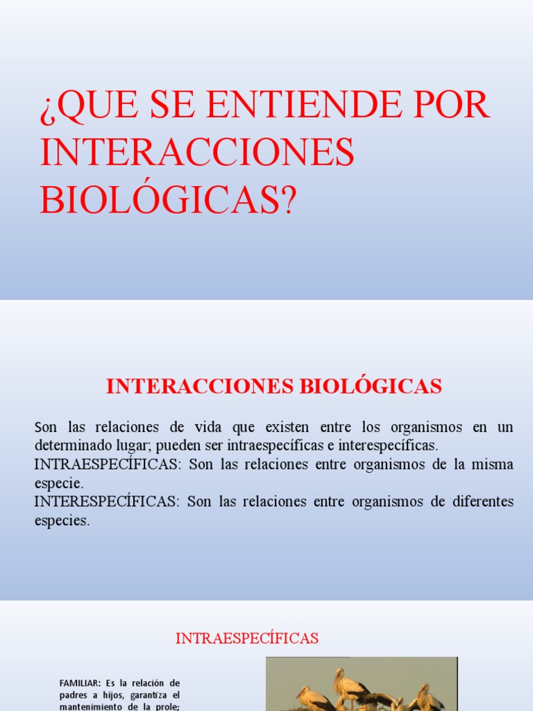 Interacciones Biológicas: Tipos y Ejemplos | PDF | Simbiosis | Biogeografia