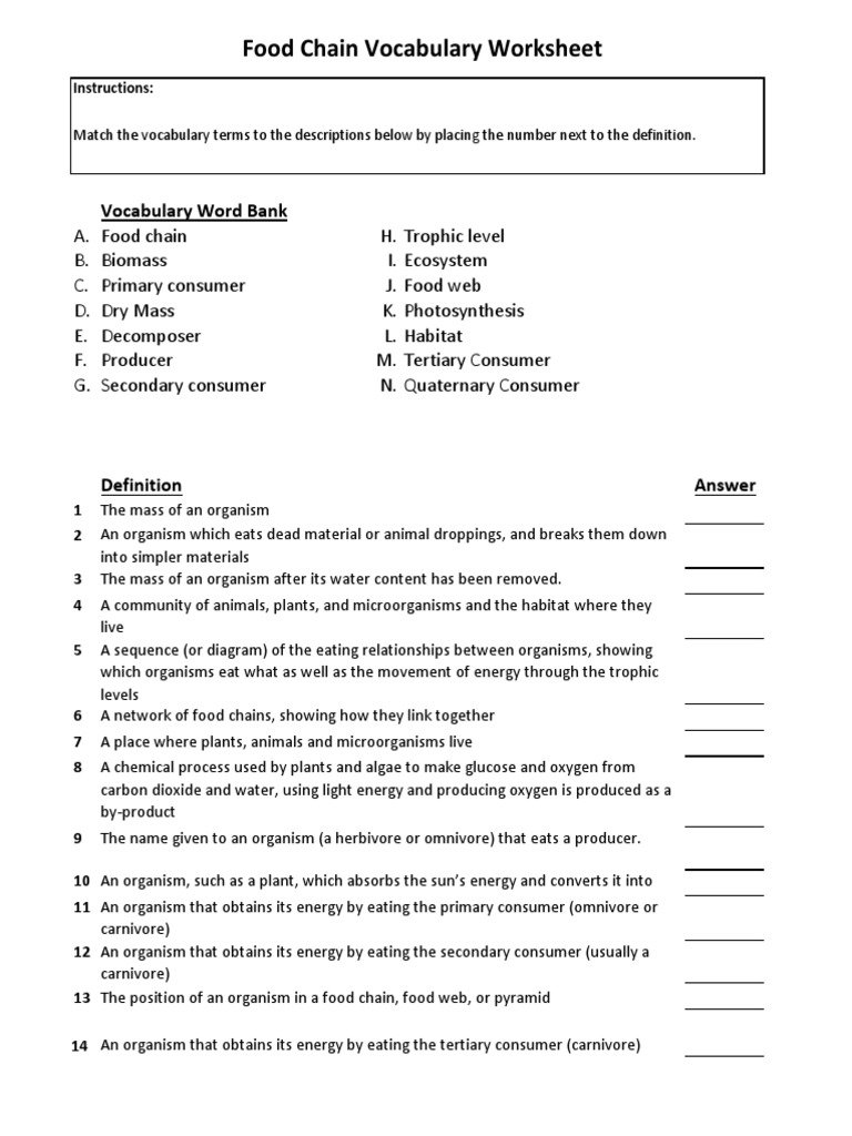 Food Chain Vocabulary Worksheet | PDF | Food Web | Plants