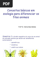 Filos Do Reino Animais Acelomados e Pseudocelomados | PDF | Zoologia ...