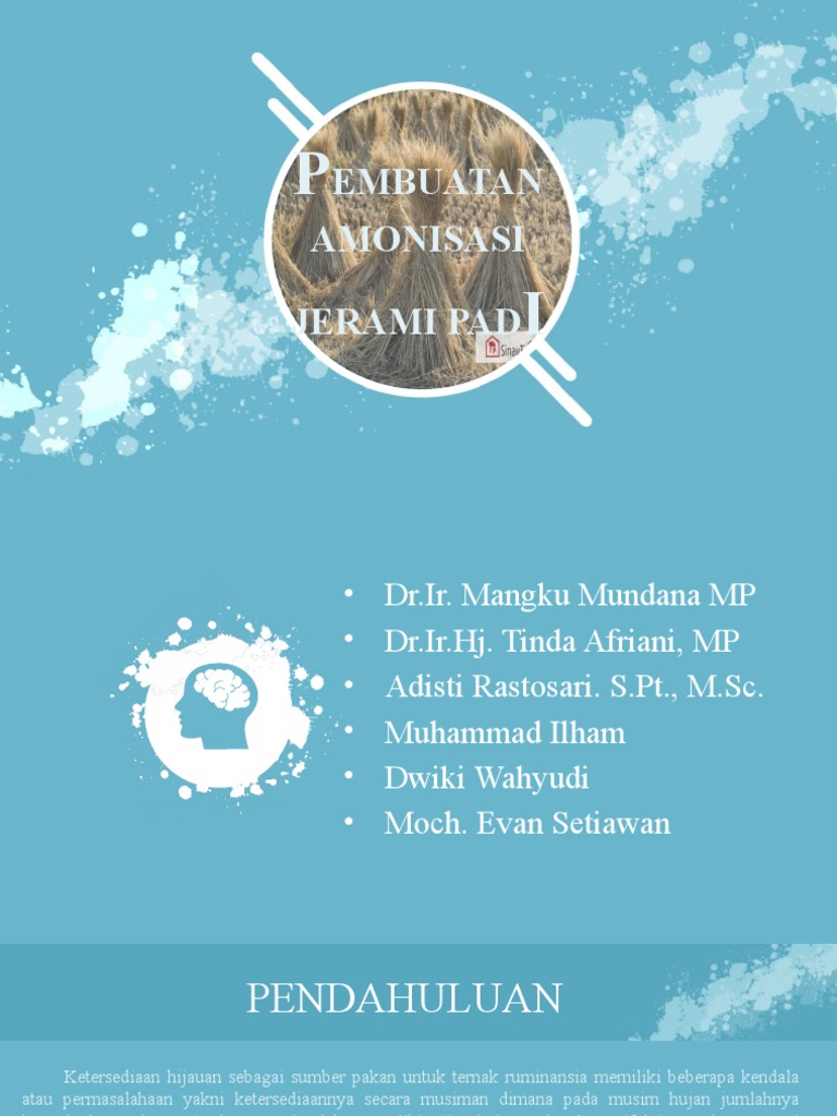 Amonisasi Jerami Padi untuk Pakan Ternak | PDF | Sains & Matematika ...