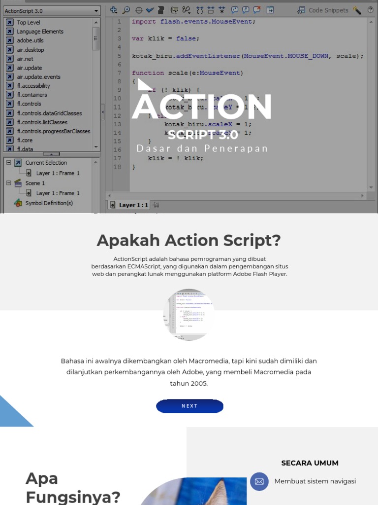 P5 Action Script 3 - Dasar Dan Penerapan | PDF