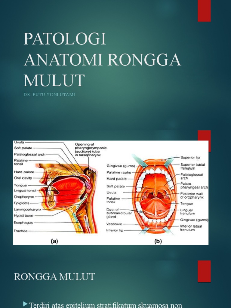 Patologi Anatomi Rongga Mulut | PDF