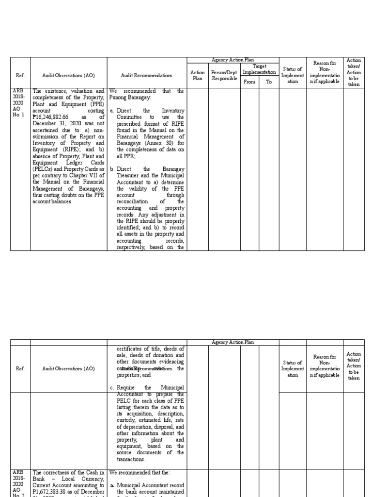 Aapsi 2020 | PDF | Audit | Inventory