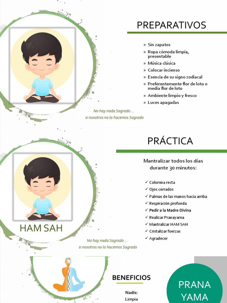 Práctica Transmutación | PDF | Órgano (anatomía) | Anatomía humana