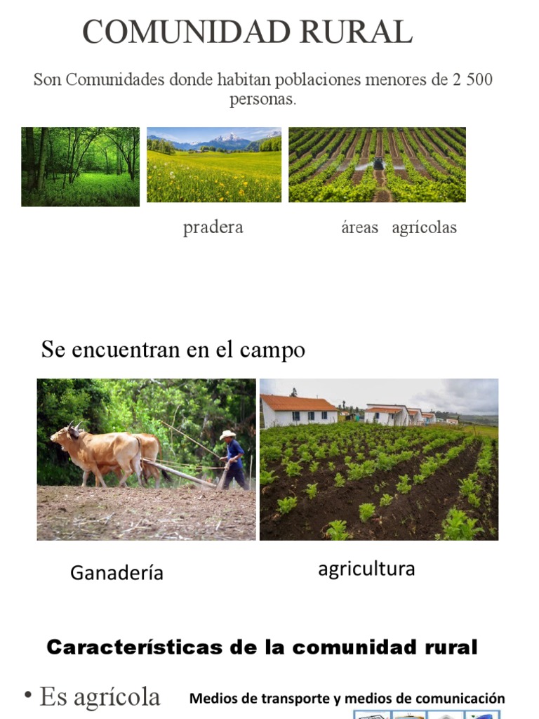 Comunidad Rural | PDF