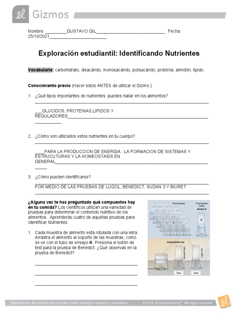 Laboratorio Biocompuestos | PDF | Carbohidratos | Nutrientes