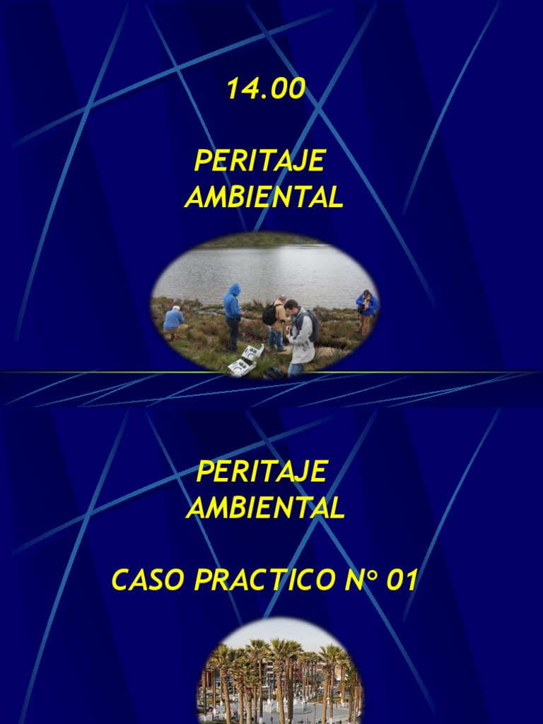 Peritaje Ambiental Casos | PDF | Riego | Agricultura