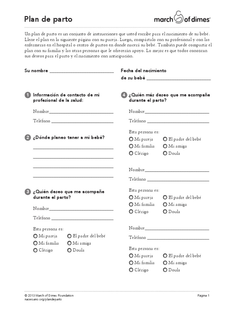 Plan de Parto | PDF | Parto | Doula