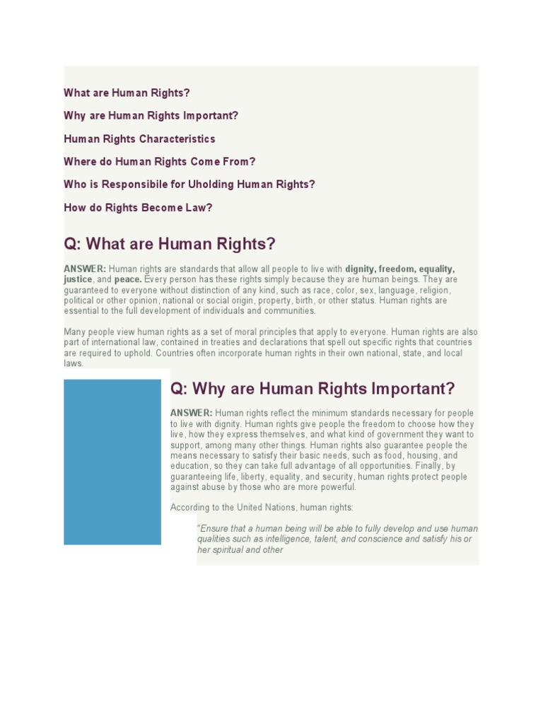 Human Rights - Basics | PDF | Human Rights | Treaty