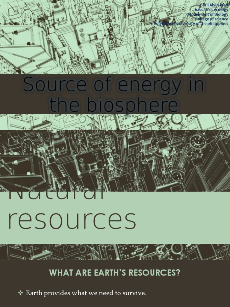 Source of Energy in The Biosphere | PDF | Fuels | Renewable Energy