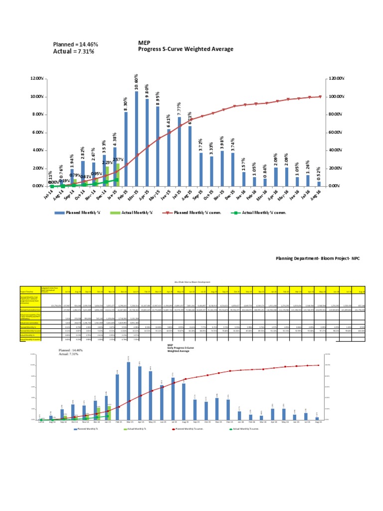 S Curve Template | PDF