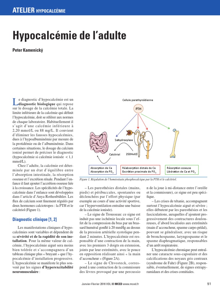 Diagnostic et causes de l'hypocalcémie | PDF | Vitamine D | Spécialités ...