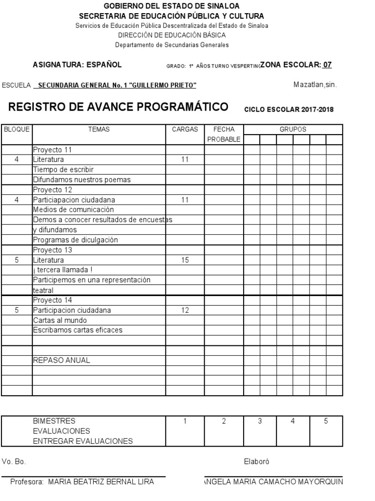 Avance Programatico 1 Año | PDF
