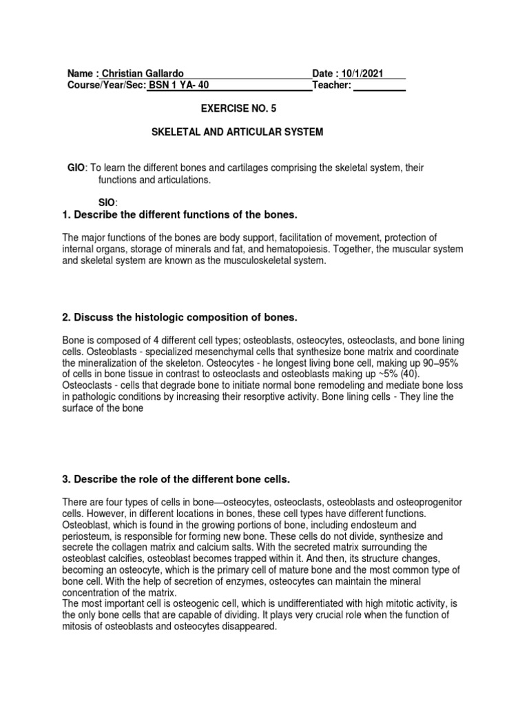 WEEK 5 LAB EXERCISE - Skeletal System | Download Free PDF | Bone | Osteoblast