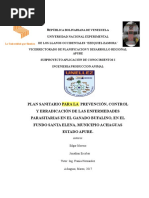 Estructura y función del sistema tegumentario del gato | PDF | Piel | Gatos