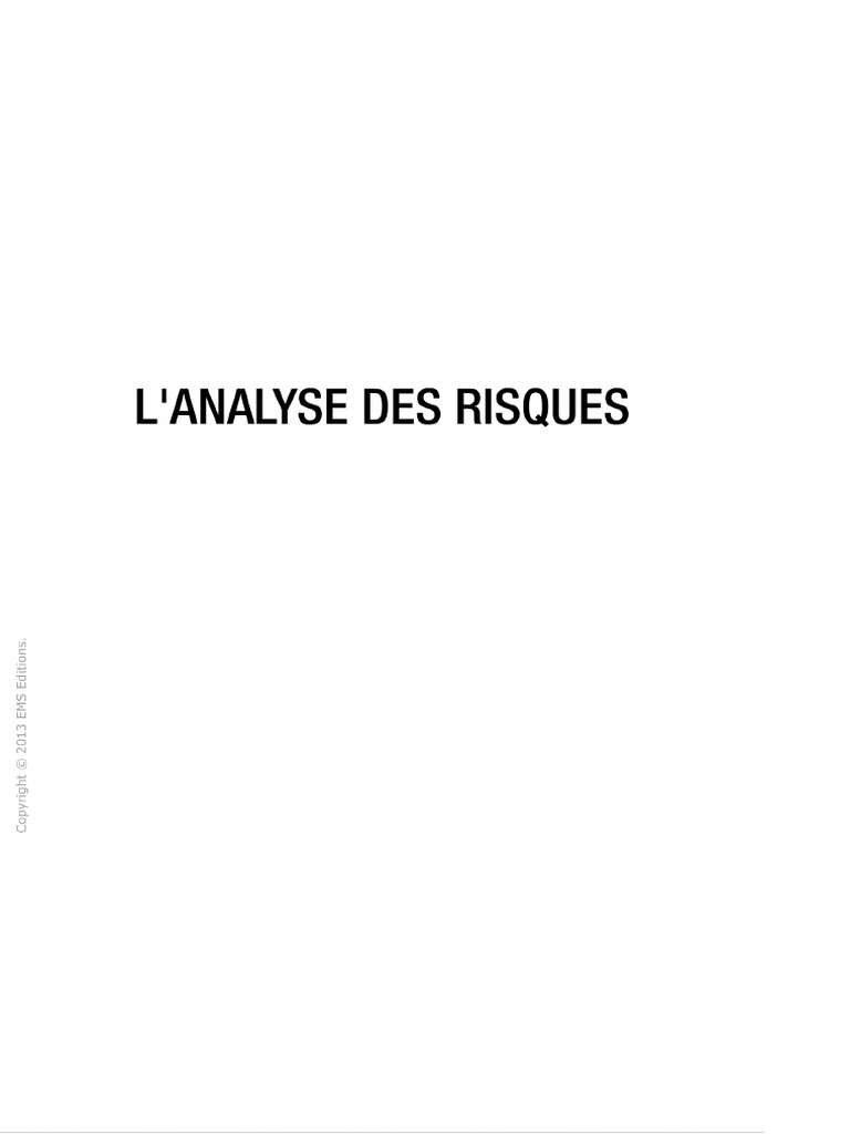 Analyse Des Risques | PDF