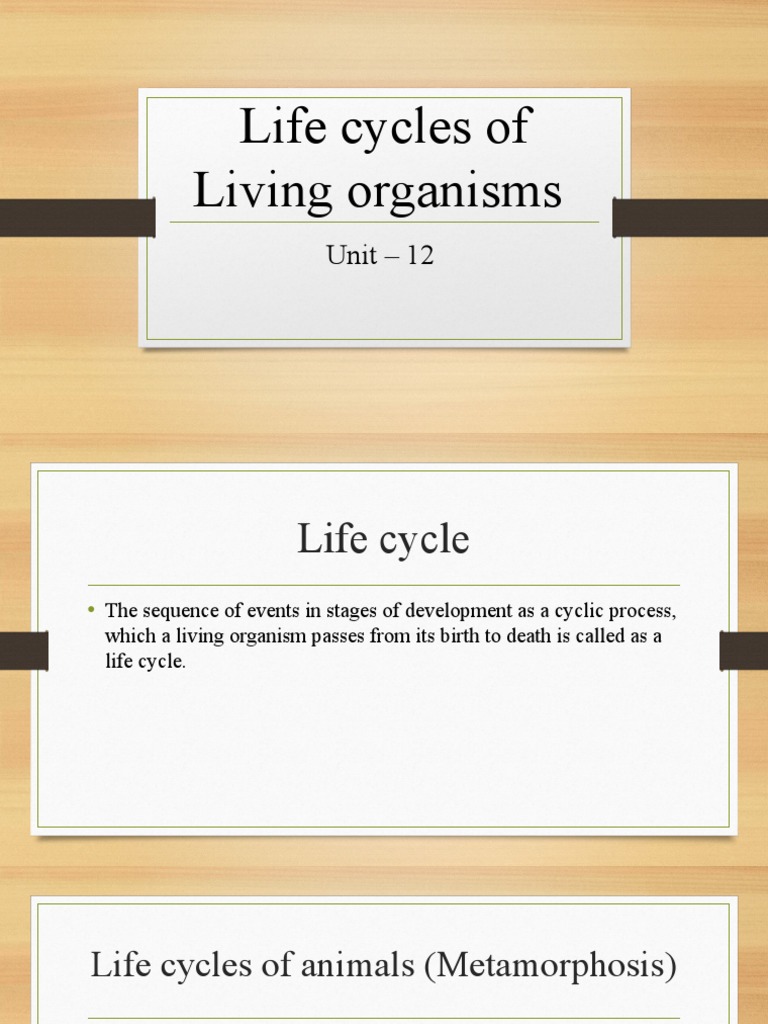 Life Cycles of Living Organisms | PDF