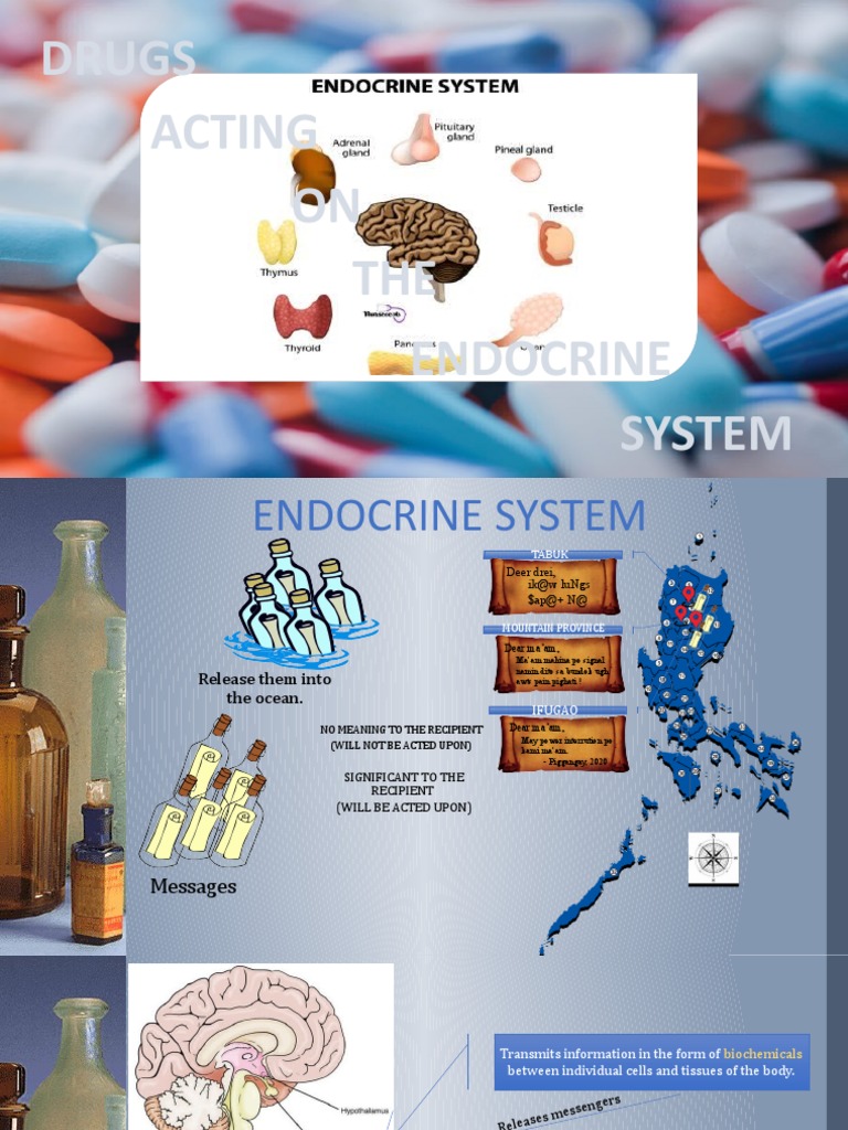Drugs Acting ON THE Endocrine System | PDF | Growth Hormone ...
