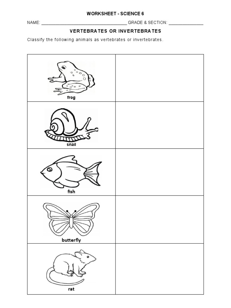 Vertebrate vs Invertebrate Worksheet | PDF