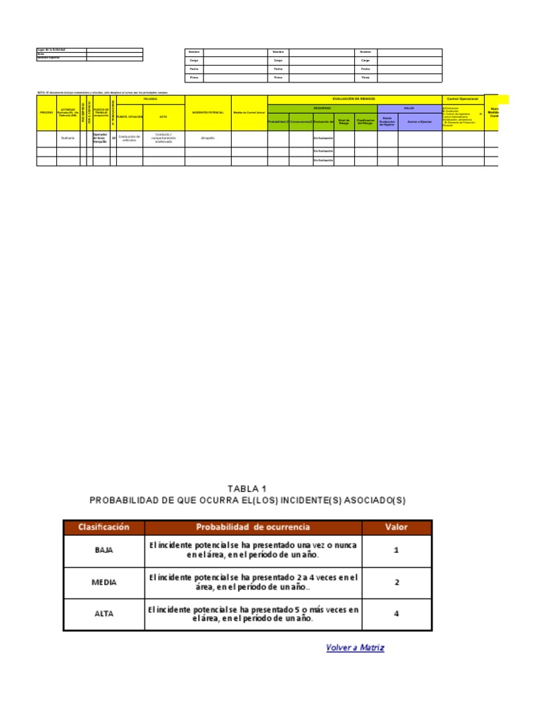 Formato Miper | PDF | Riesgo