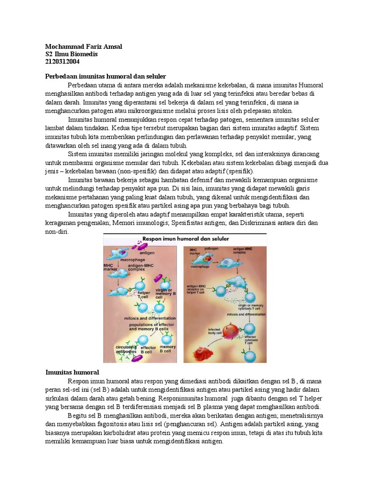 Perbedaan Respon Imun Humoral Dan Seluler | PDF
