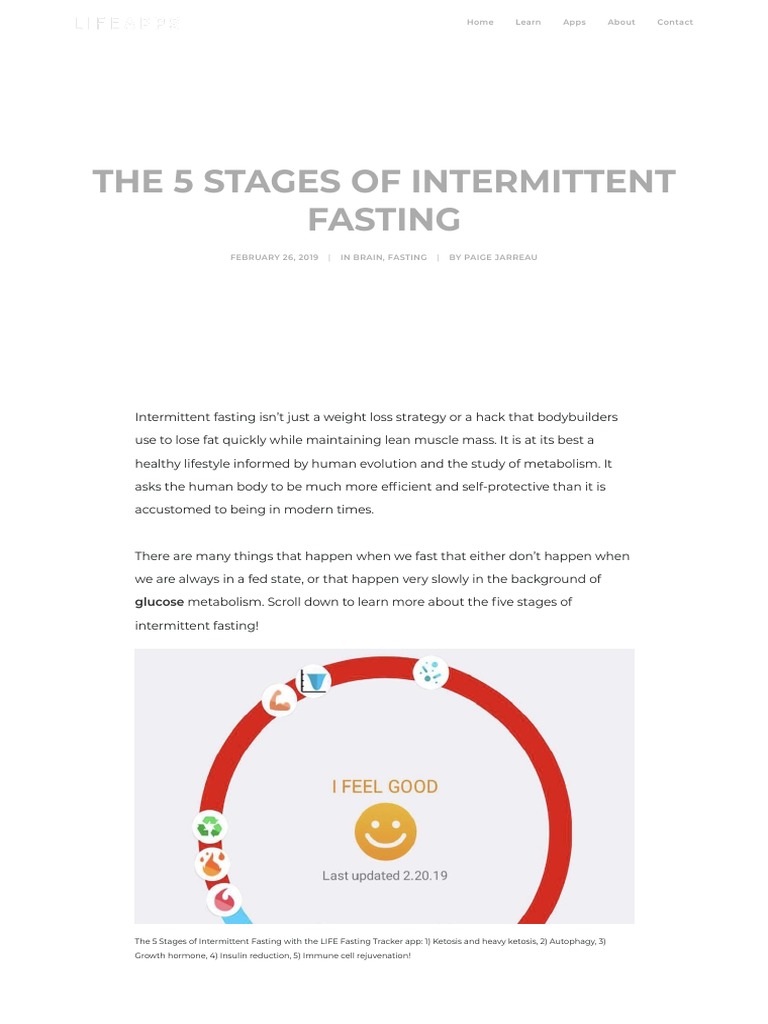The 5 Stages of Intermittent Fasting: Glucose | PDF | Insulin Like ...