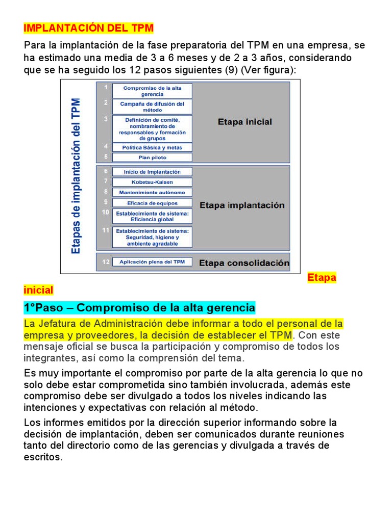 X - Ejemplo de Implementación Del TPM | PDF | Planificación