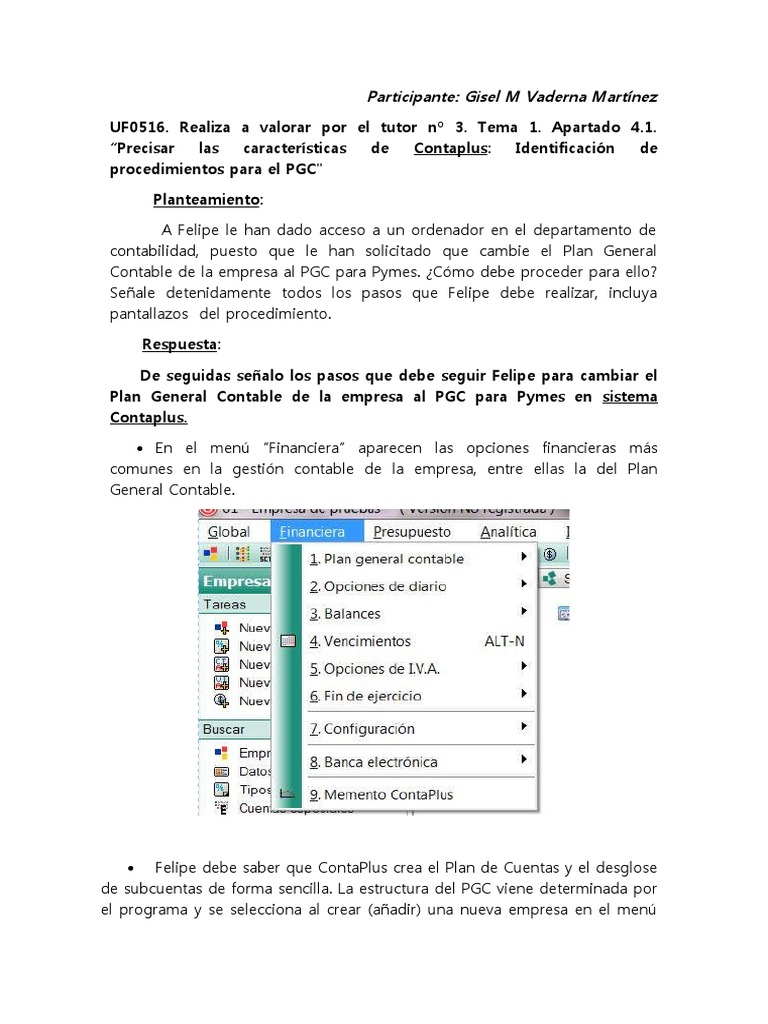 Plan General Contable | PDF | Contabilidad | Archivo de computadora