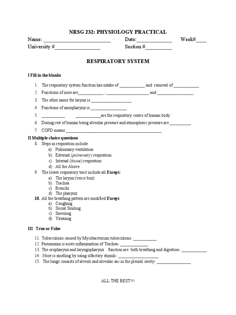 Practice Respiratory System | PDF