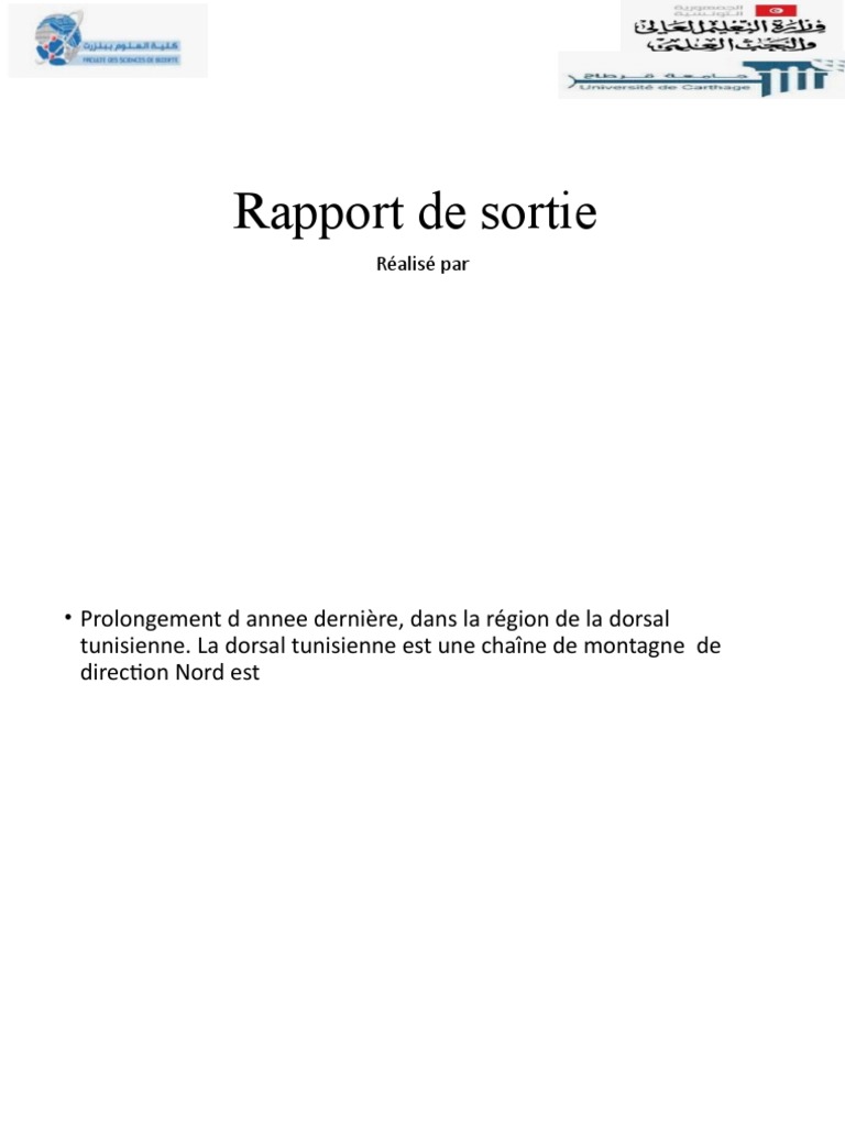 Rapport de Sortie | PDF | Calcaire | Crétacé