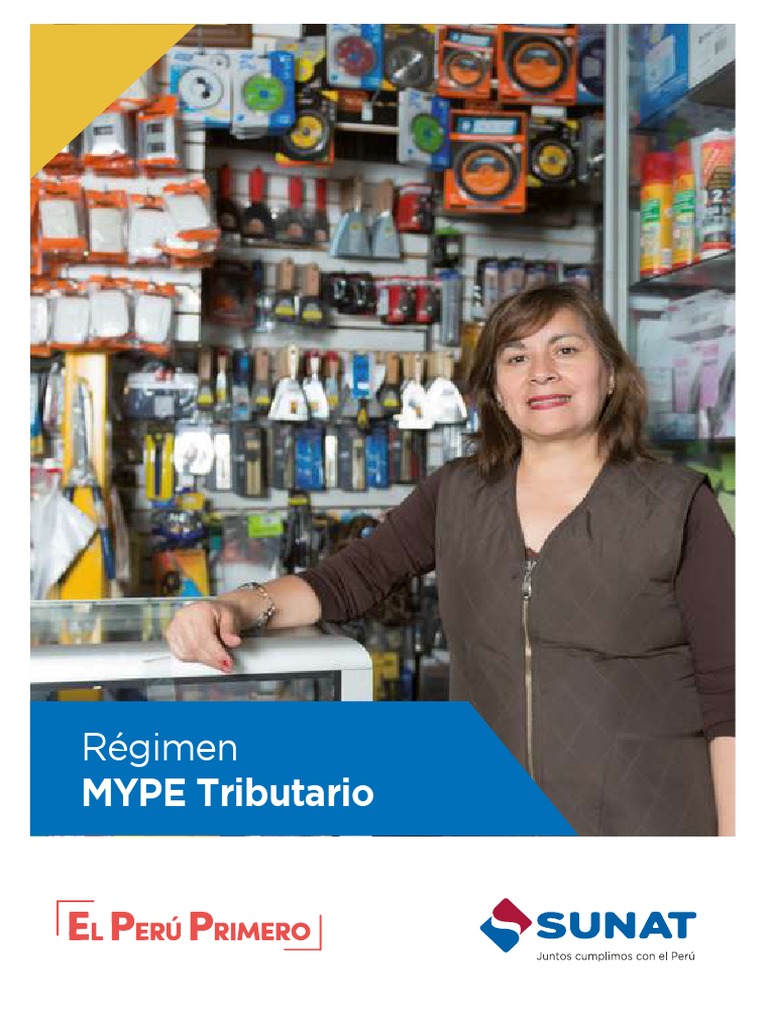 Regimen Mype | PDF | Impuesto sobre la renta | Impuestos