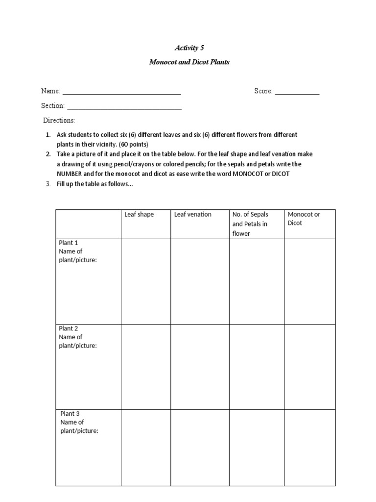 Activity 5 Monocot and Dicot Plants | PDF