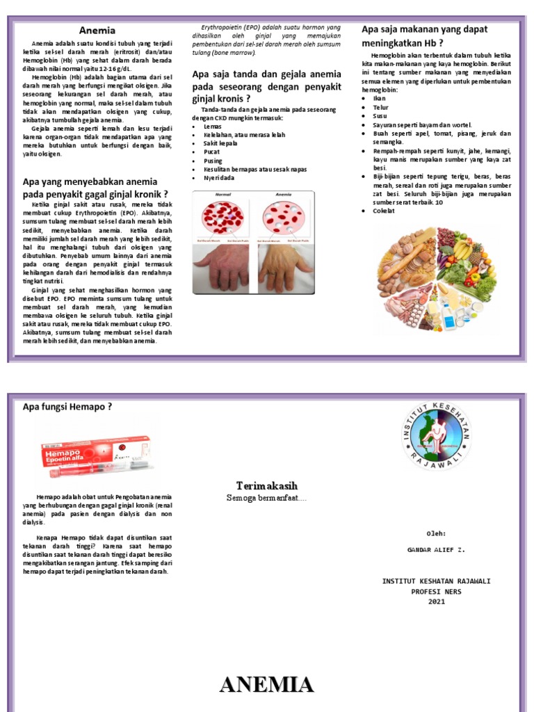 Leaflet Anemia Pada GGK | PDF