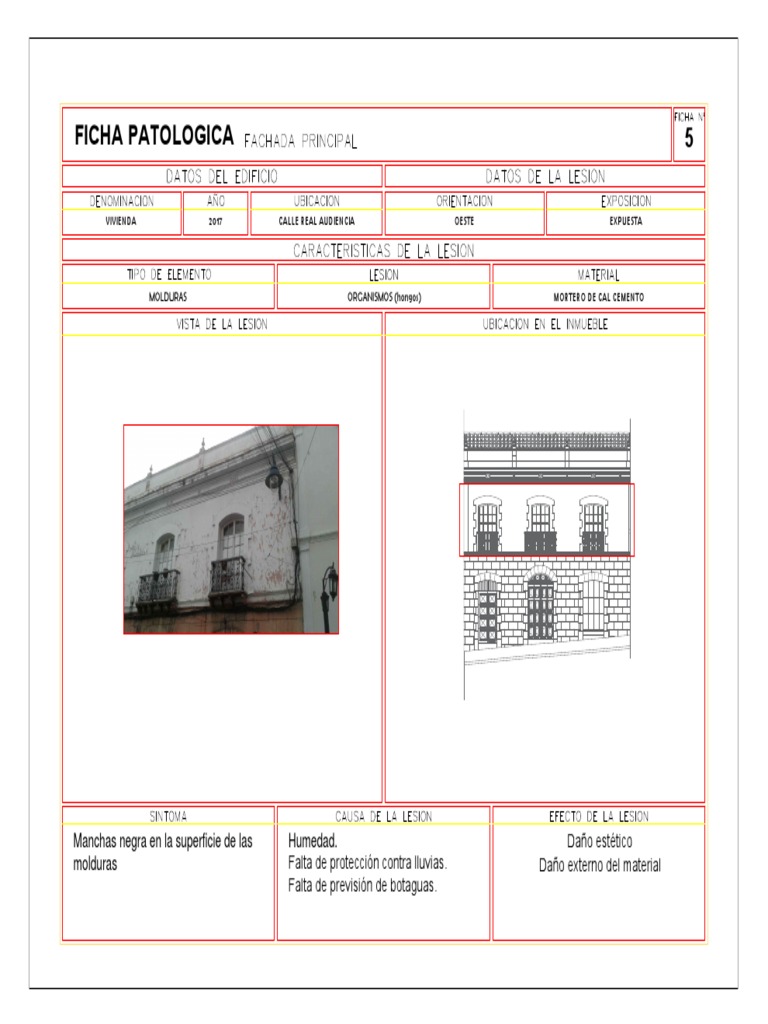 Ficha De Patologias Pdf