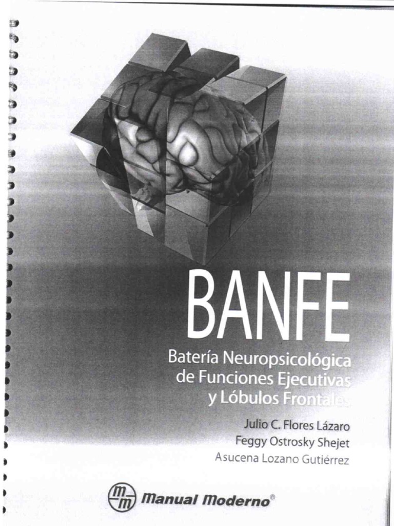 BANFE Manual Completo PDF | PDF