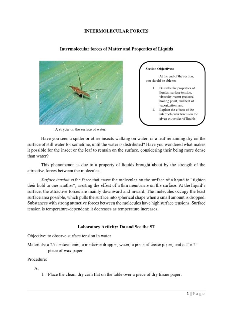 Understanding Liquids: How Intermolecular Forces Influence Properties ...
