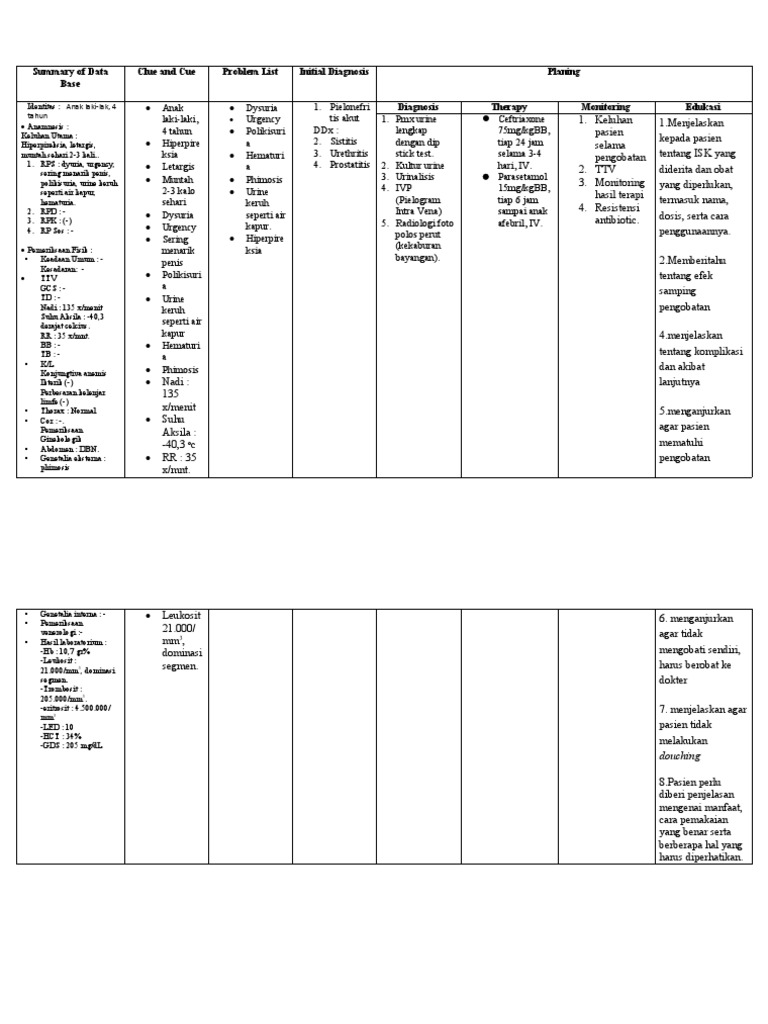 ISK pada Anak: Diagnosis dan Terapi | PDF