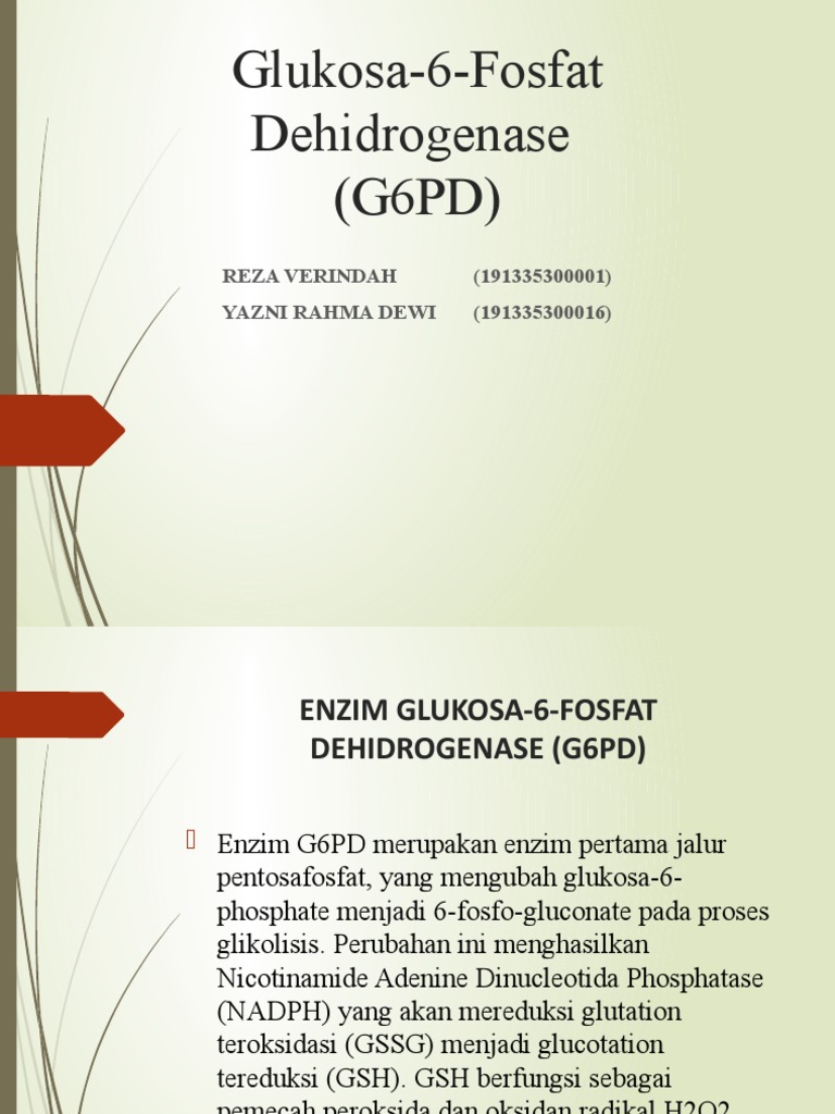 G6PD | PDF | Kesehatan Holistik | Sains & Matematika