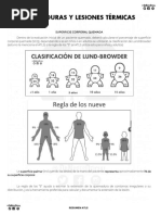 Protocolo Rush | PDF | Ultrasonido médico | Sistema cardiovascular